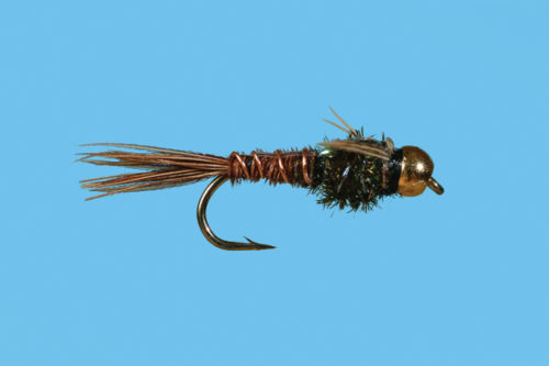 Bead Head Flashback Pheasant Tail - Sunrise Fly Shop