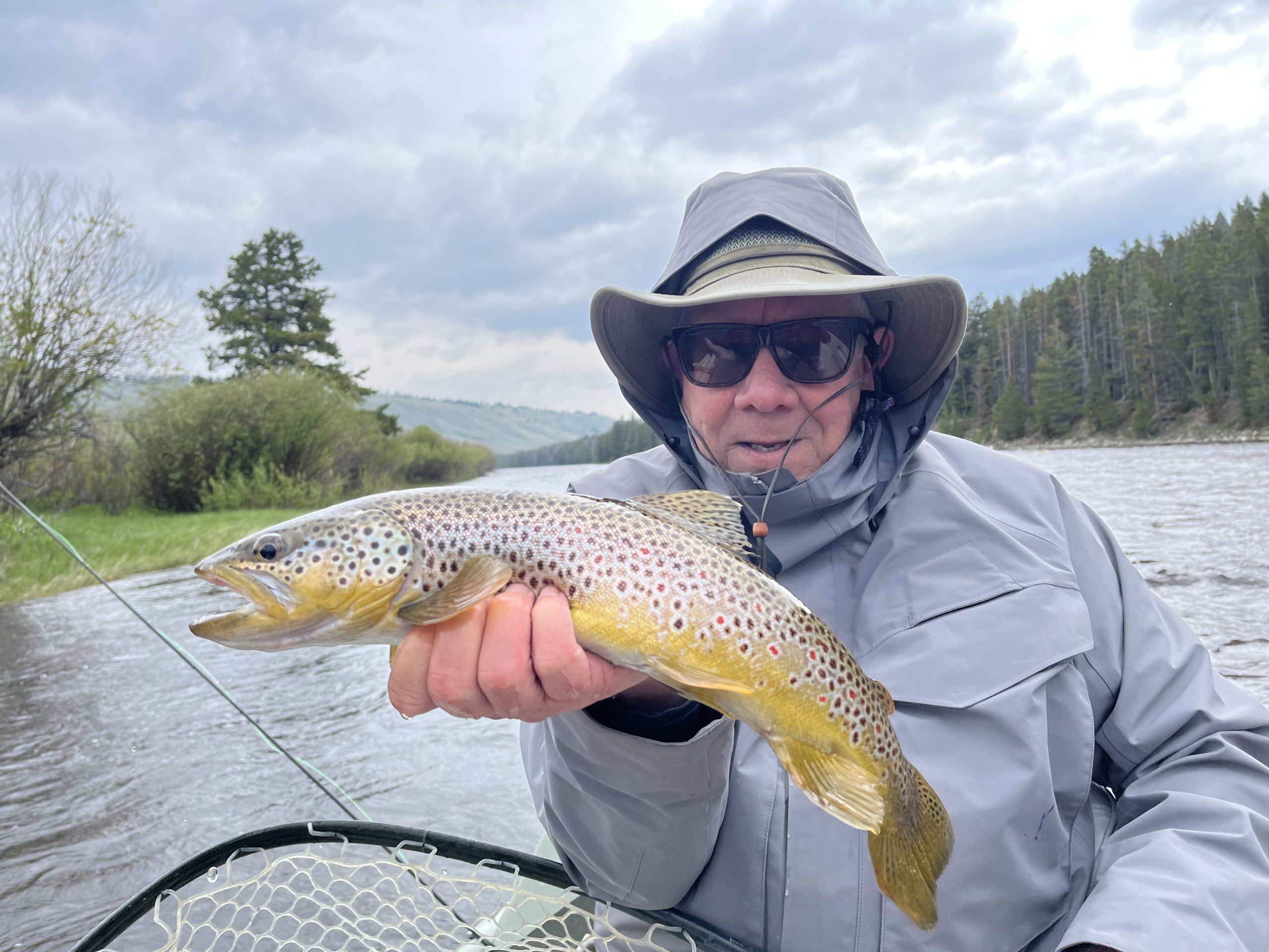 Salmonflies On The Big Hole River - Sunrise Fly Shop